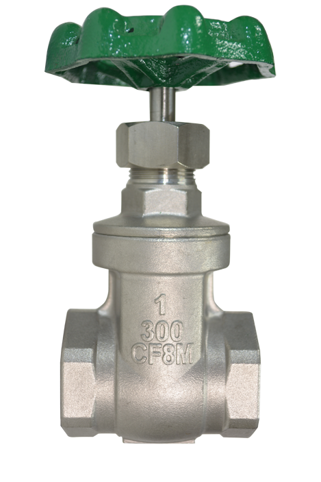Stainless steel Gate Valve